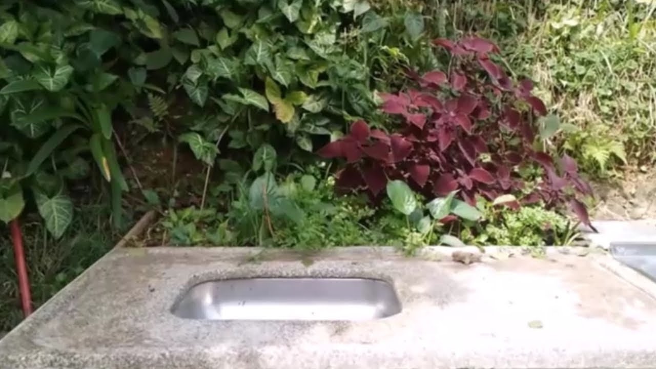 Ideia de como fazer mini horta de temperos e plantas na frente da pia ...
