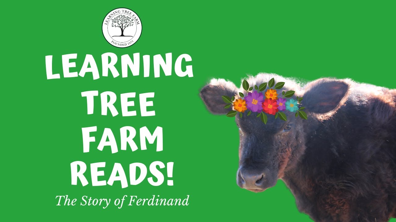 The Story of Ferdinand | Learning Tree Farm Reads! - YouTube