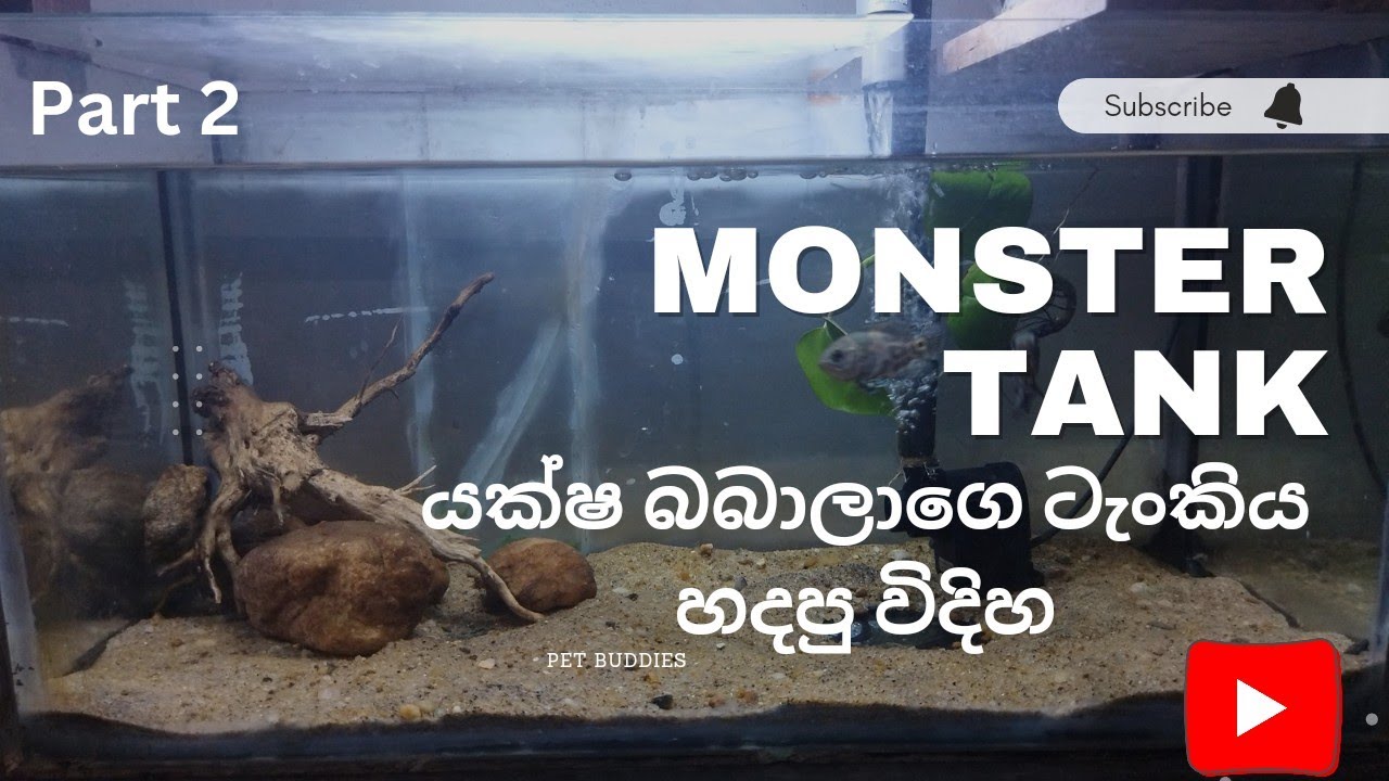 monster බාබාලගෙ ටැංකිය හදපු විදිහ part 2/how to make monster fish tank ...