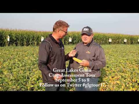 Great Lakes Grain 2017 Crop Assessment Tour - Thamesville Area - YouTube