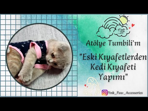 Kullanmadığımız Kıyafetlerden Kedi Kıyafeti Yaptım 🐈‍⬛ #çakıl #kedi #cat #cute #pets #paw