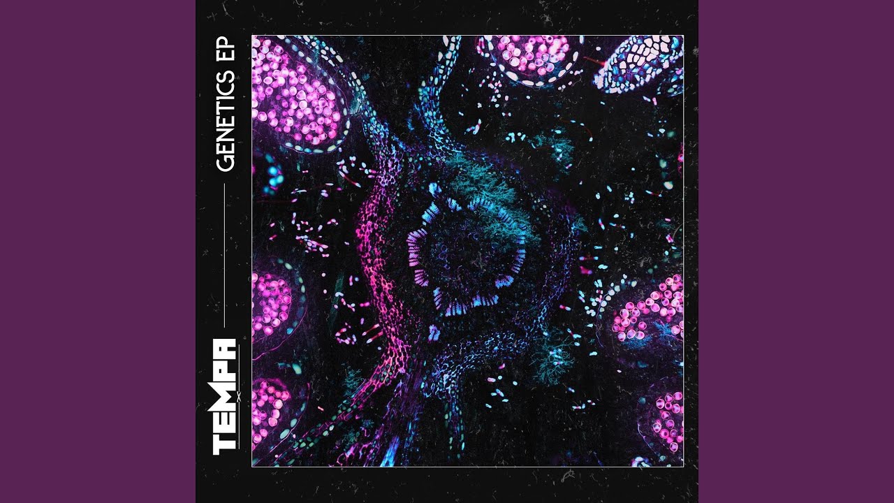 Kidney Punch - YouTube