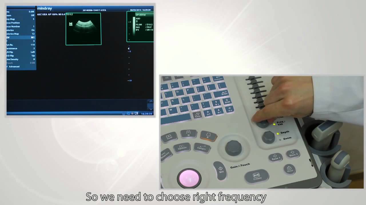 Tutorial DP 50 Vet - YouTube