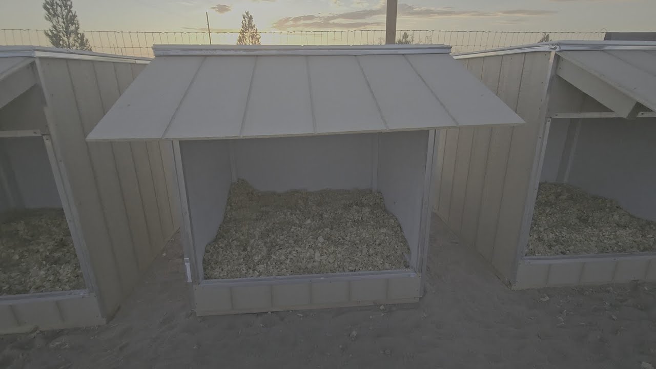 Quick and easy goat hut build - YouTube