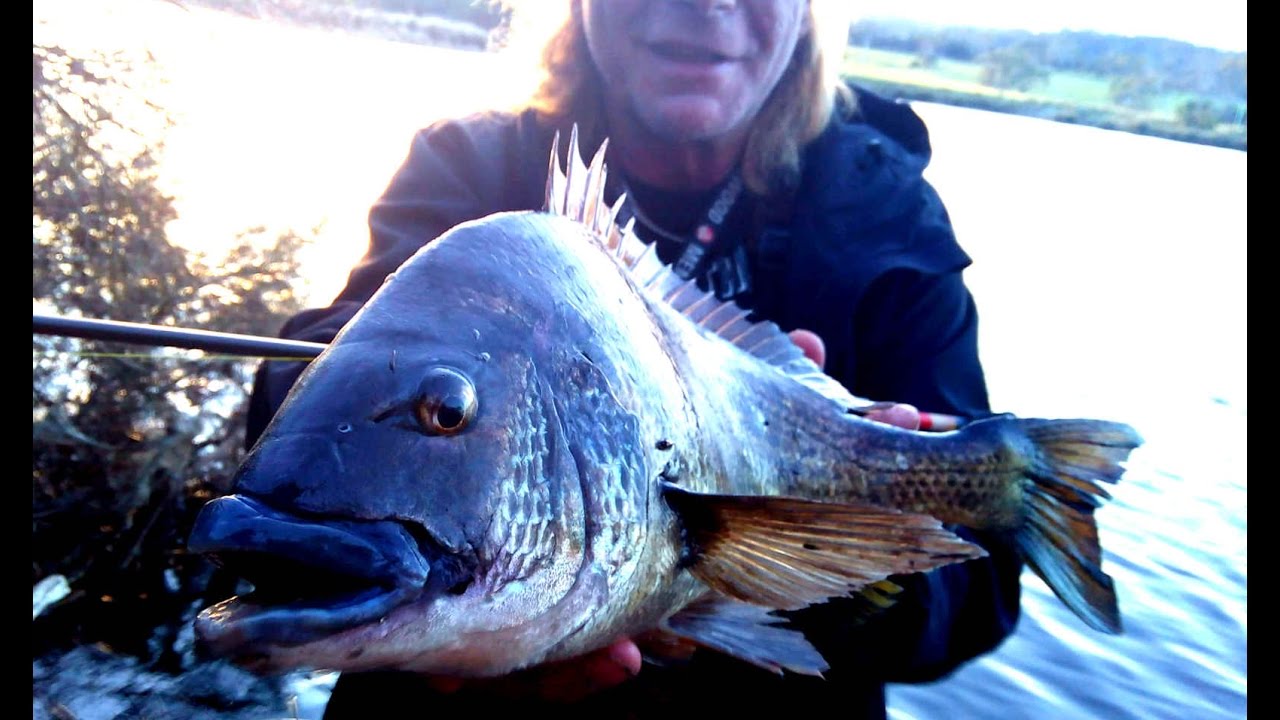 Bream: Battle of a lifetime - YouTube