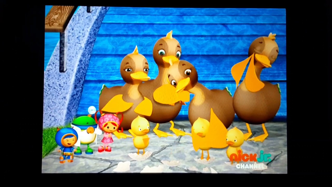 Team Umizoomi The Baby Ducklings Hatched - YouTube