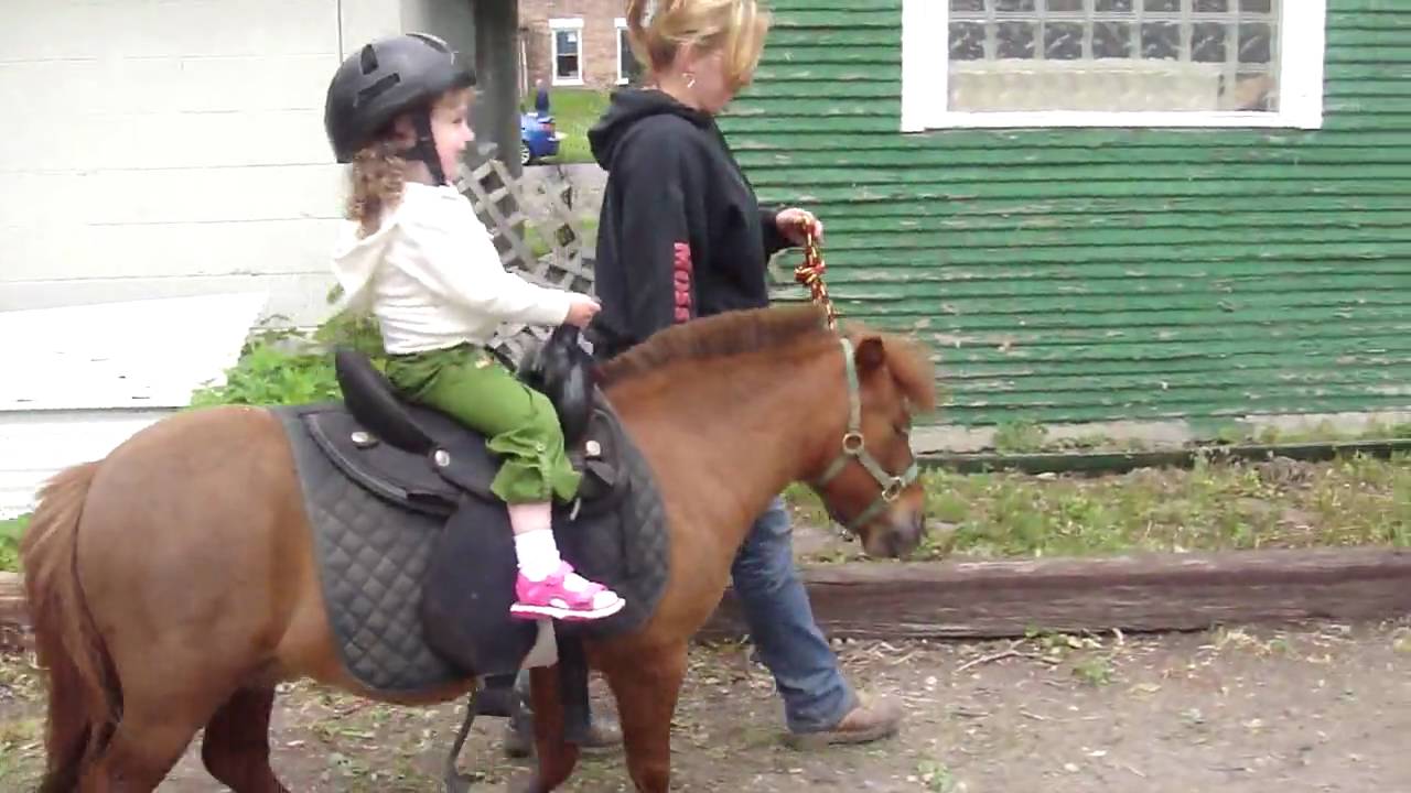 Riding a small pony at Day out With Thomas - YouTube