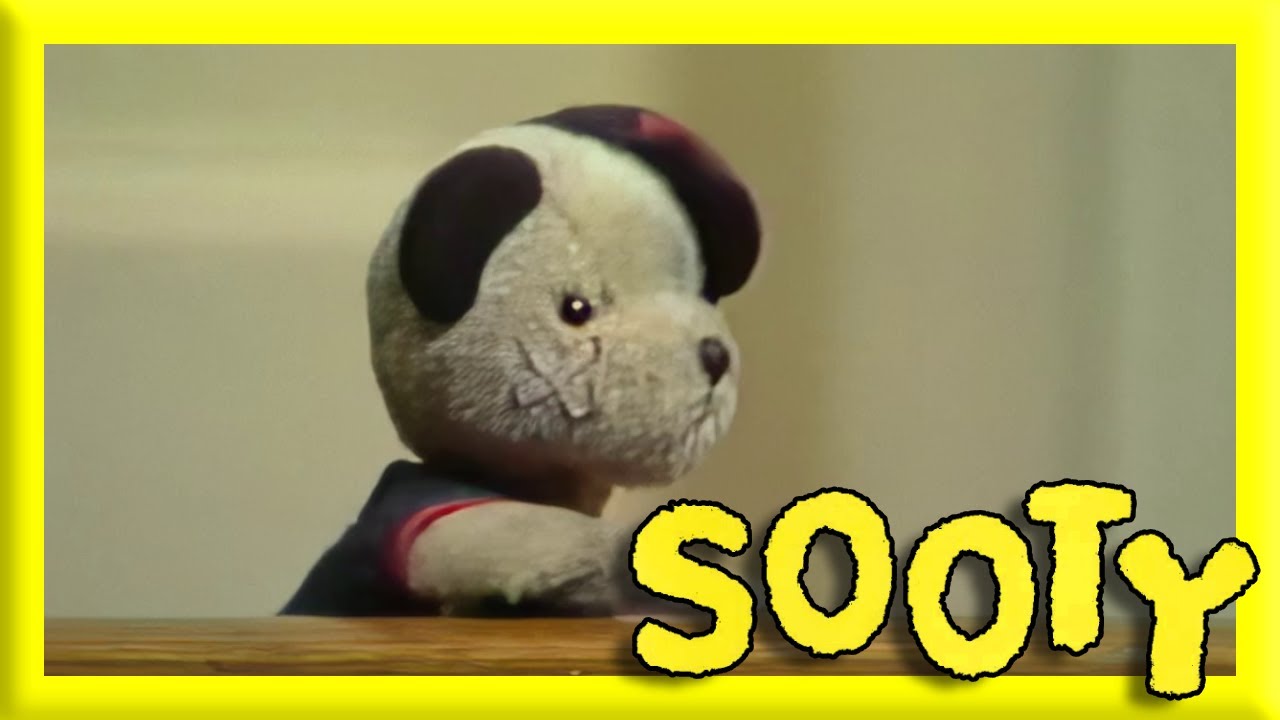 Sooty Songs! 🎵 Scampi's Back - YouTube