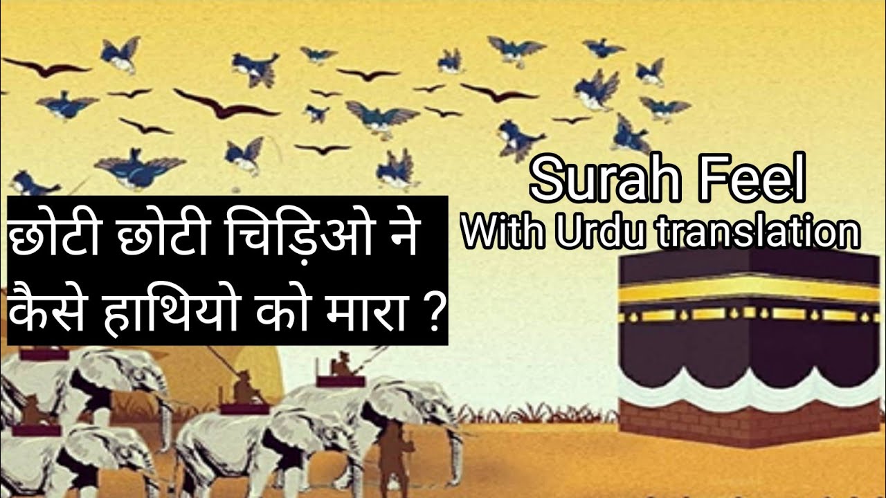 Surah Feel With Urdu Translation| Surah Al Feel With Urdu Tarjuma 2024 ...