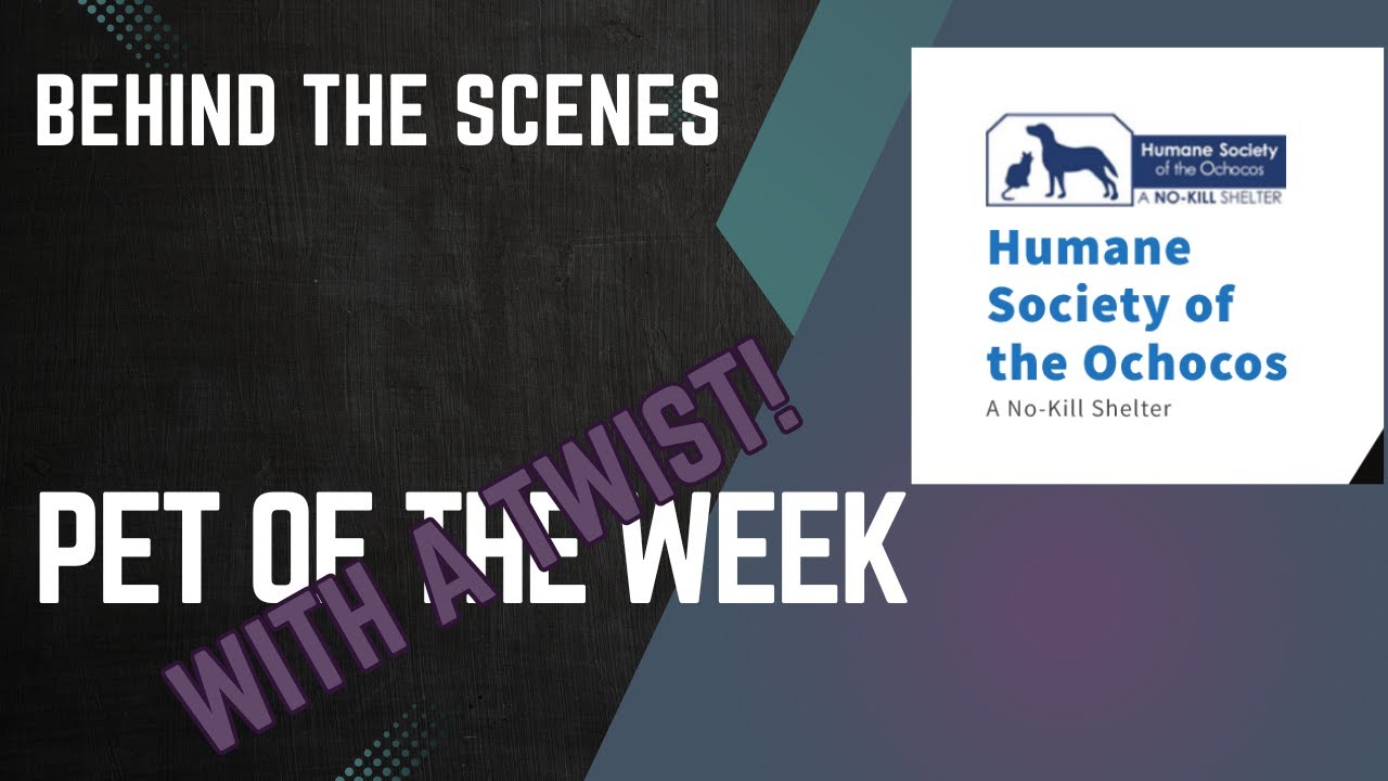 Behind the scenes at the Humane Society of the Ochocos! - YouTube