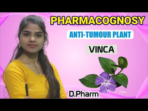 Vinca Pharmacognosy | Anti-tumor Plant(Chapter-5) | D.Pharm | ER20-13T ...