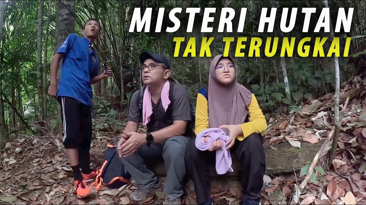 Redah Hutan Belantara. Banyak Misteri Hutan Tak Terungkai, Rakam Bunyi ...