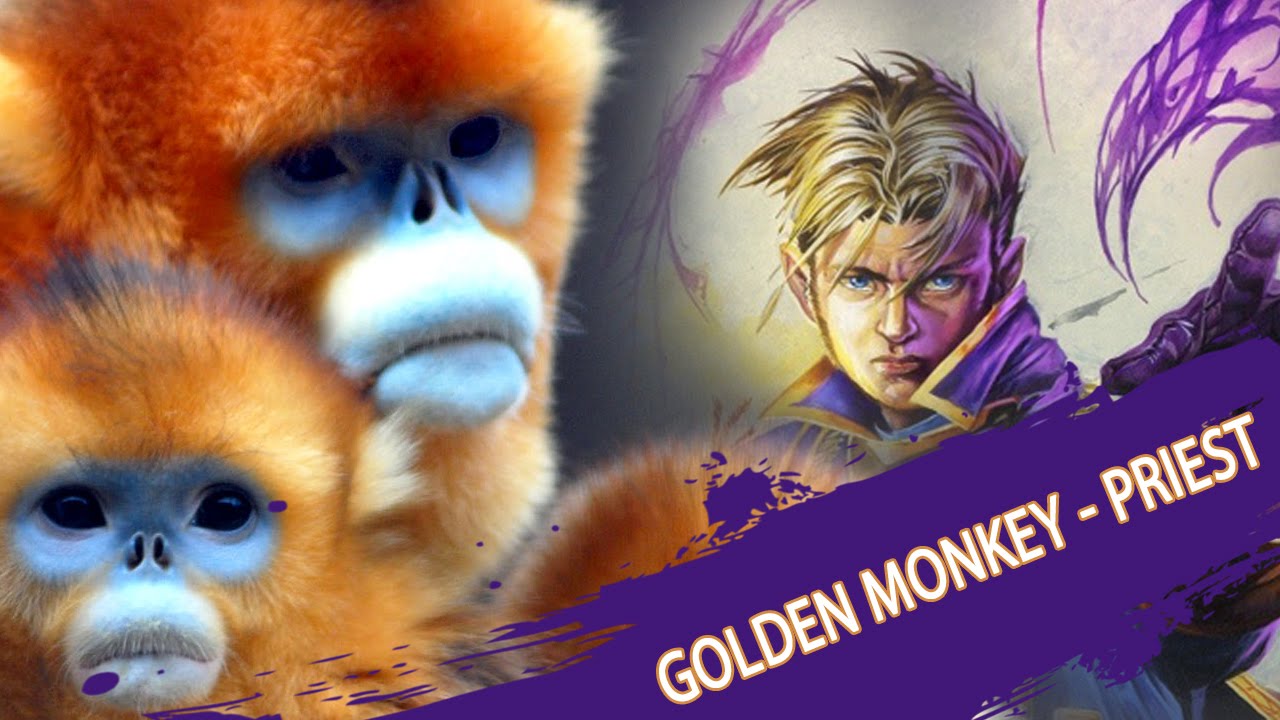 Priest Deck - I play your Golden Monkey [epic] [hearthstone] - YouTube