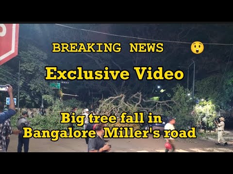 Big Tree Fall in Bangalore 1| Miller's road Vasanth Nagar| #treefall # ...