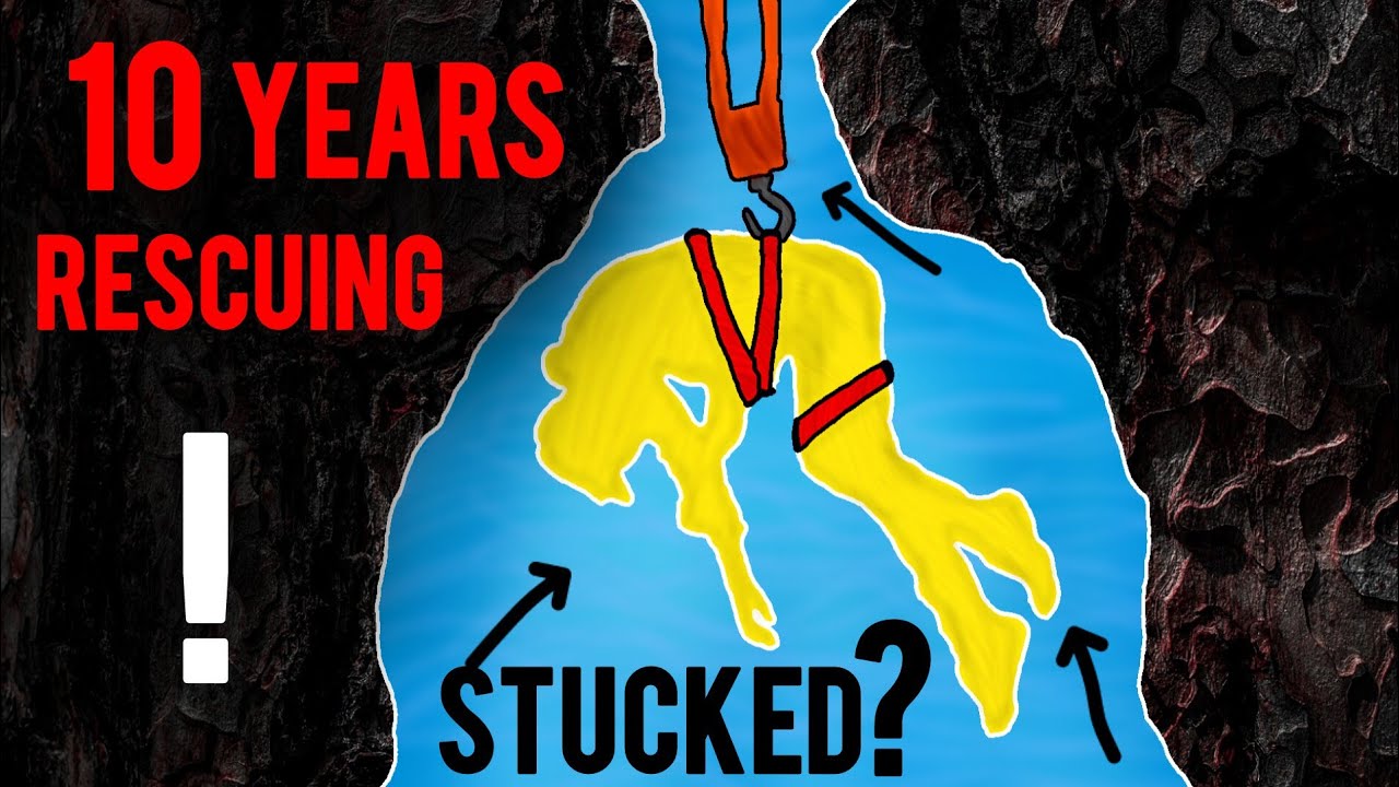 The Tragic Dive That Claimed Two Lives! The Dark Secret of Bushman’s ...