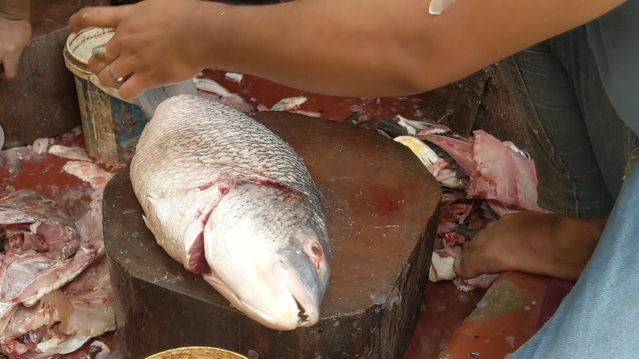 biggest fish cutting skills best fishing cutting - YouTube