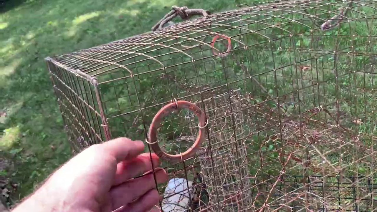 Crab Pot Set Up & Regs - YouTube