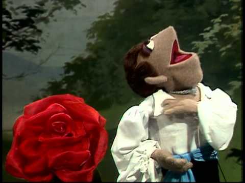 muppet show 3-01 - my wild irish rose (as only the Muppets can do it ...