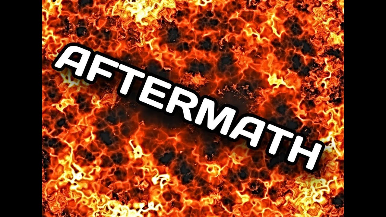 Black Soldier Fly Invasion | The Aftermath - YouTube