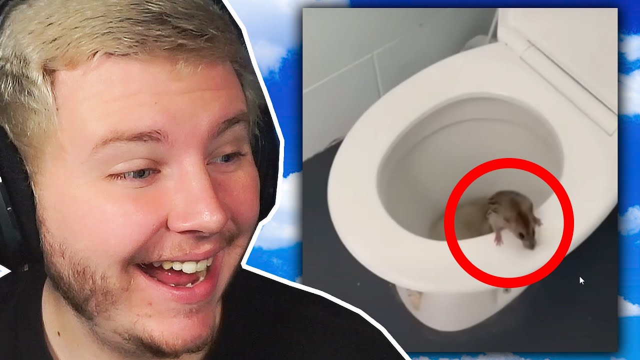 MEMES That Will Make You Smile YouTube memes-that-will-make-you-smile-youtube