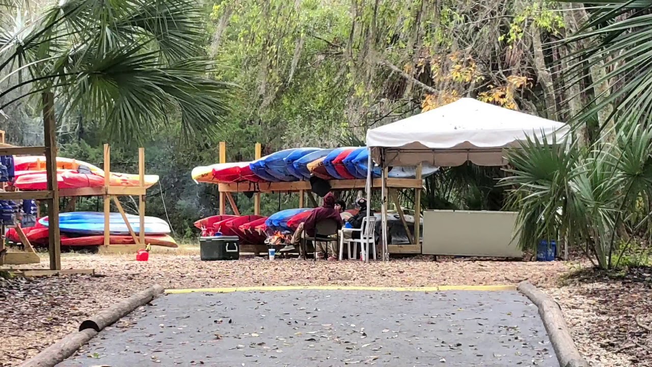 Silver Springs kayaking with rhesus monkeys - YouTube