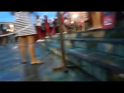 Paha mulus kimcil bali