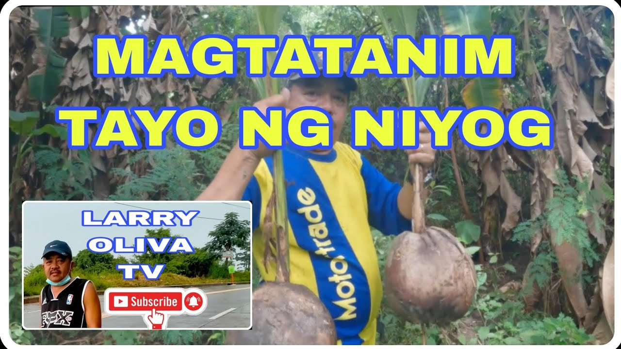 MAGTATANIM TAYO NG NIYOG - YouTube