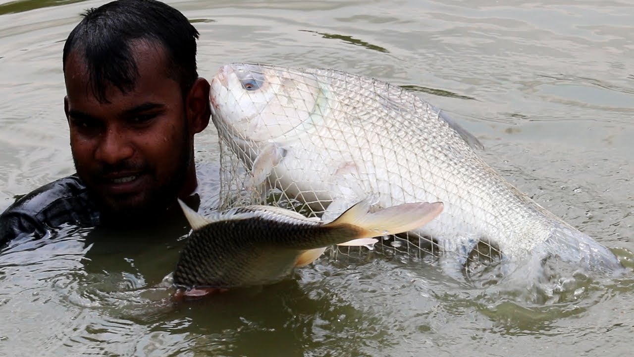 Amazing Big Fish Catching With Cast Net | Net Fishing | Best Net ...