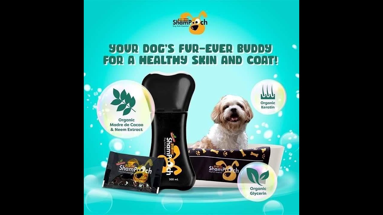 TOP BREED SHAMPOOCH DOG SHAMPOO (w/ madre de cacao, antibacterial ...
