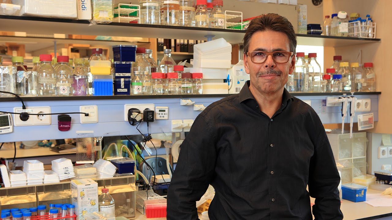 Immunotherapie bij huidkanker - prof. Figdor - YouTube