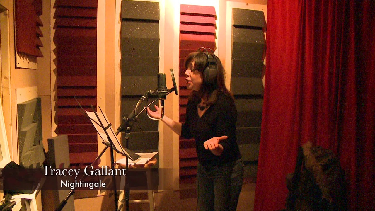 Animal Olympics - Tracey Gallant - YouTube