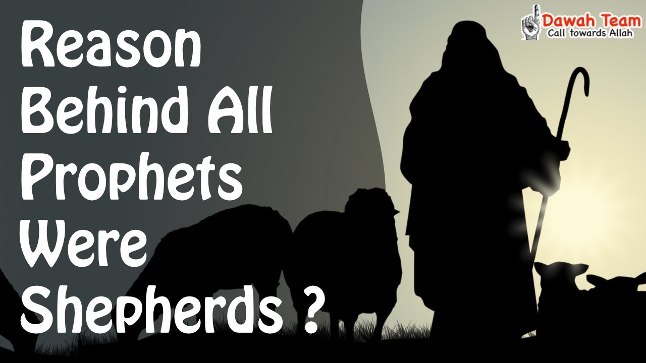 Reason Behind All Prophets Were Shepherds ? ᴴᴰ ┇Mufti Menk┇ Dawah Team ...