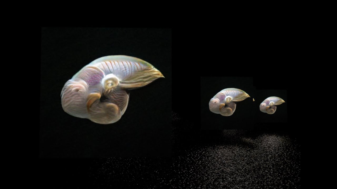 Ai Art: Evolution of Alien Life imagined by Artificial Intelligence ...