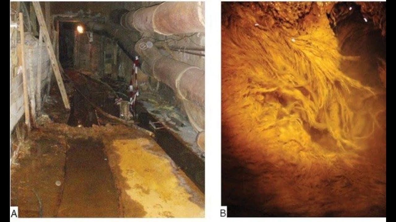 Weird 'Alien' Ecosystem Emerges in Abandoned Uranium Mine! - YouTube