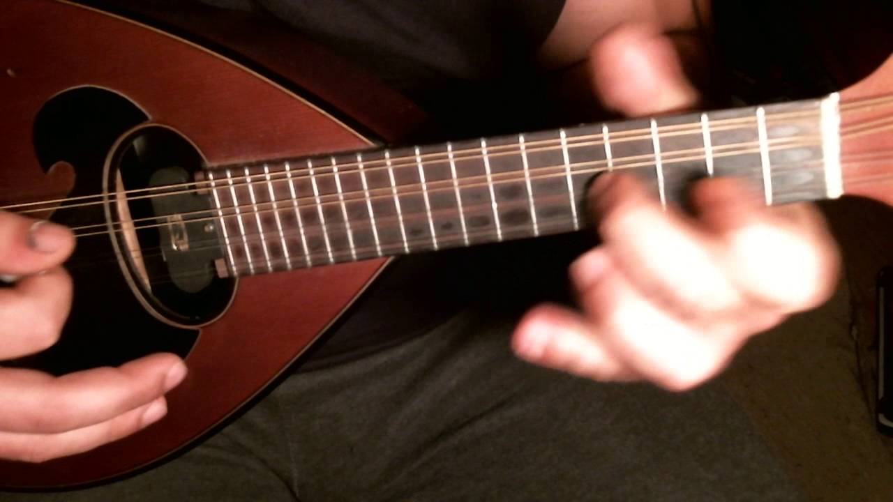 ΑΓΡΙΟ ΡΟΔΟ (ΑΡΓΑ) ΜΕ ΜΑΝΤΟΛΙΝΟ ΜΑΖΙ ΜΕ ΝΟΤΕΣ - YouTube
