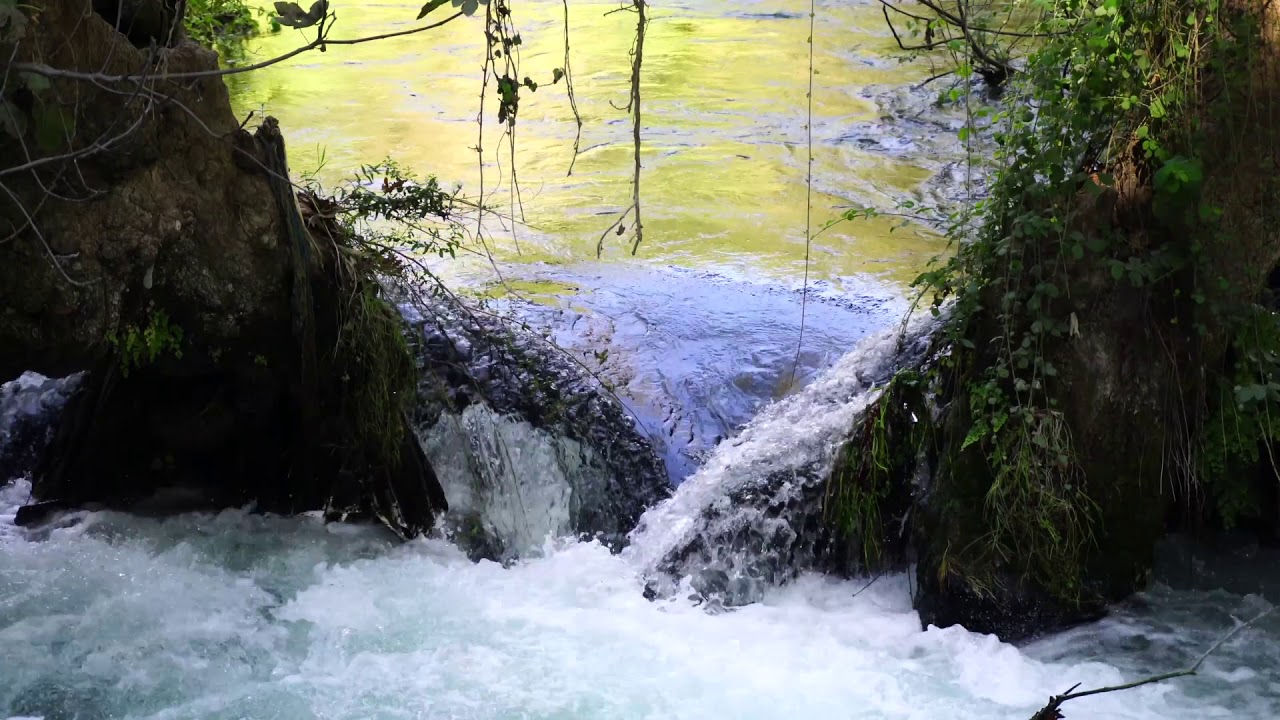 best nature free videos No copyright Video Stock /background video ...