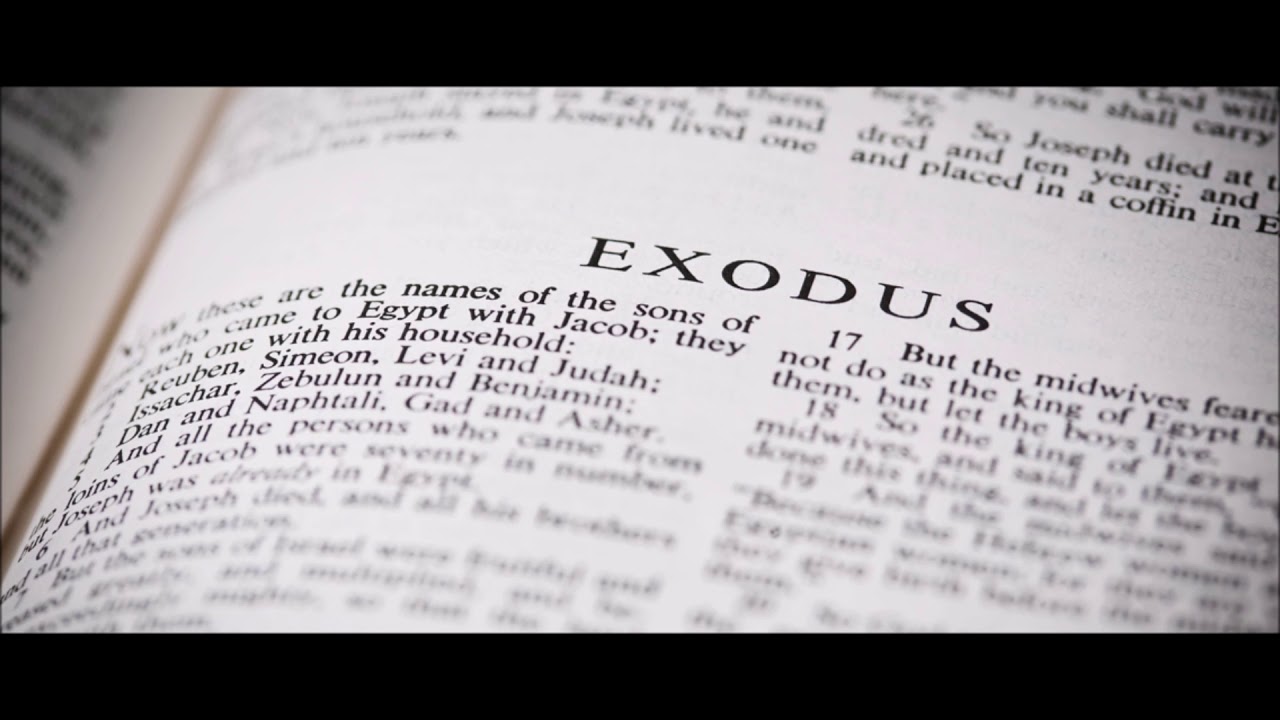 The Book of Exodus (Chapter 8) - YouTube