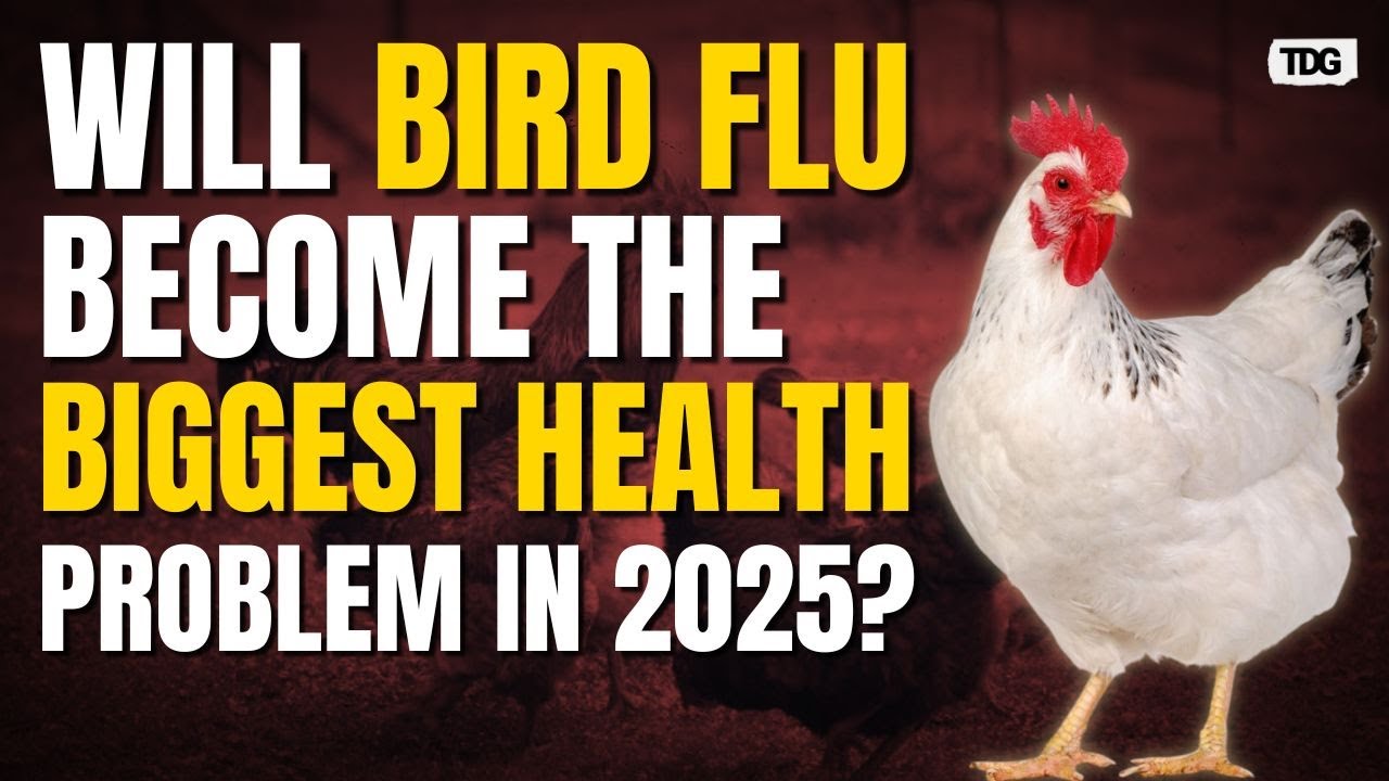 Bird flu virus shows mutations in first severe human infection in US ...
