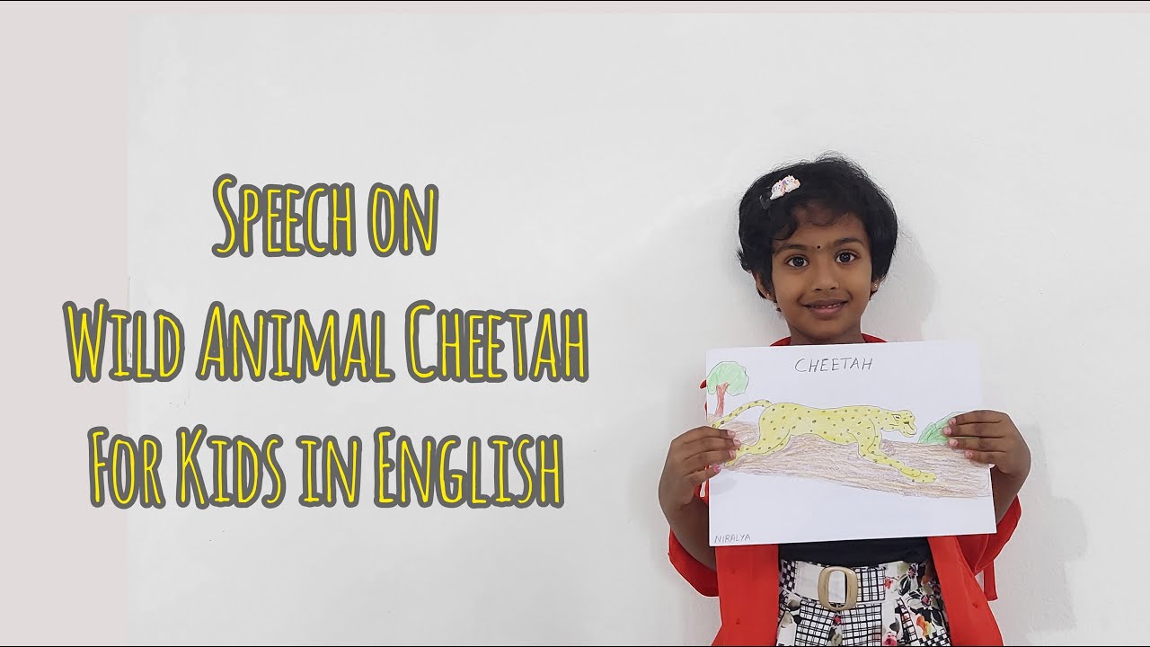 Cheetah Speech in English | Essay on Cheetah | Speech on Wild Animal ...