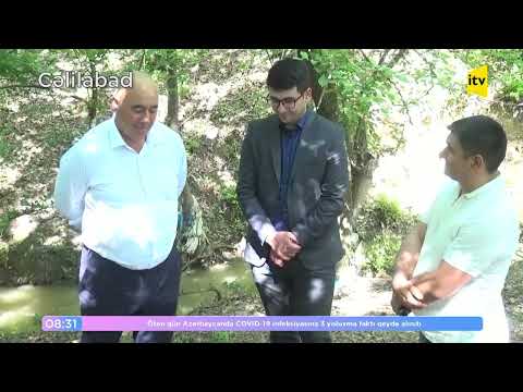 Cəlilabadda həm ərazisinə, həm də ağacların növünə görə fərqlənən Nil meşəsi