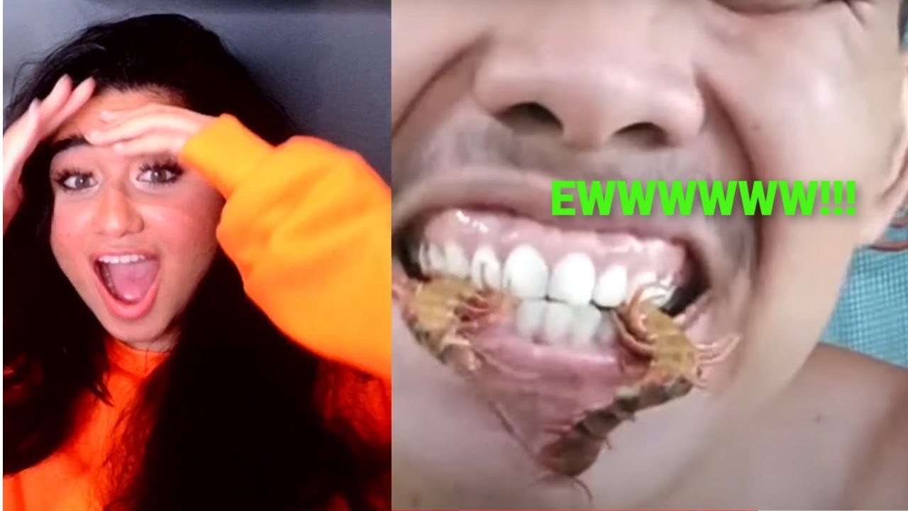 Disgusting Food Mukbang Compilation! *ASMR* (REACTION) - YouTube