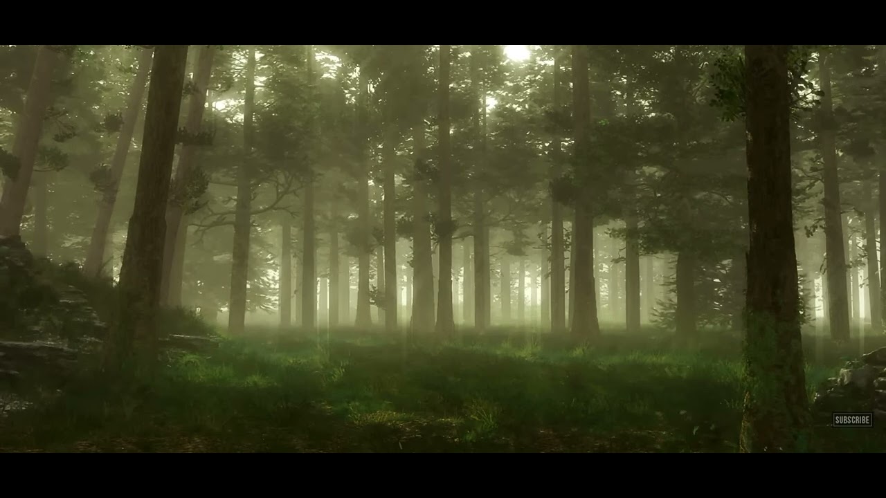 Forest Video Part 2 #nature - YouTube