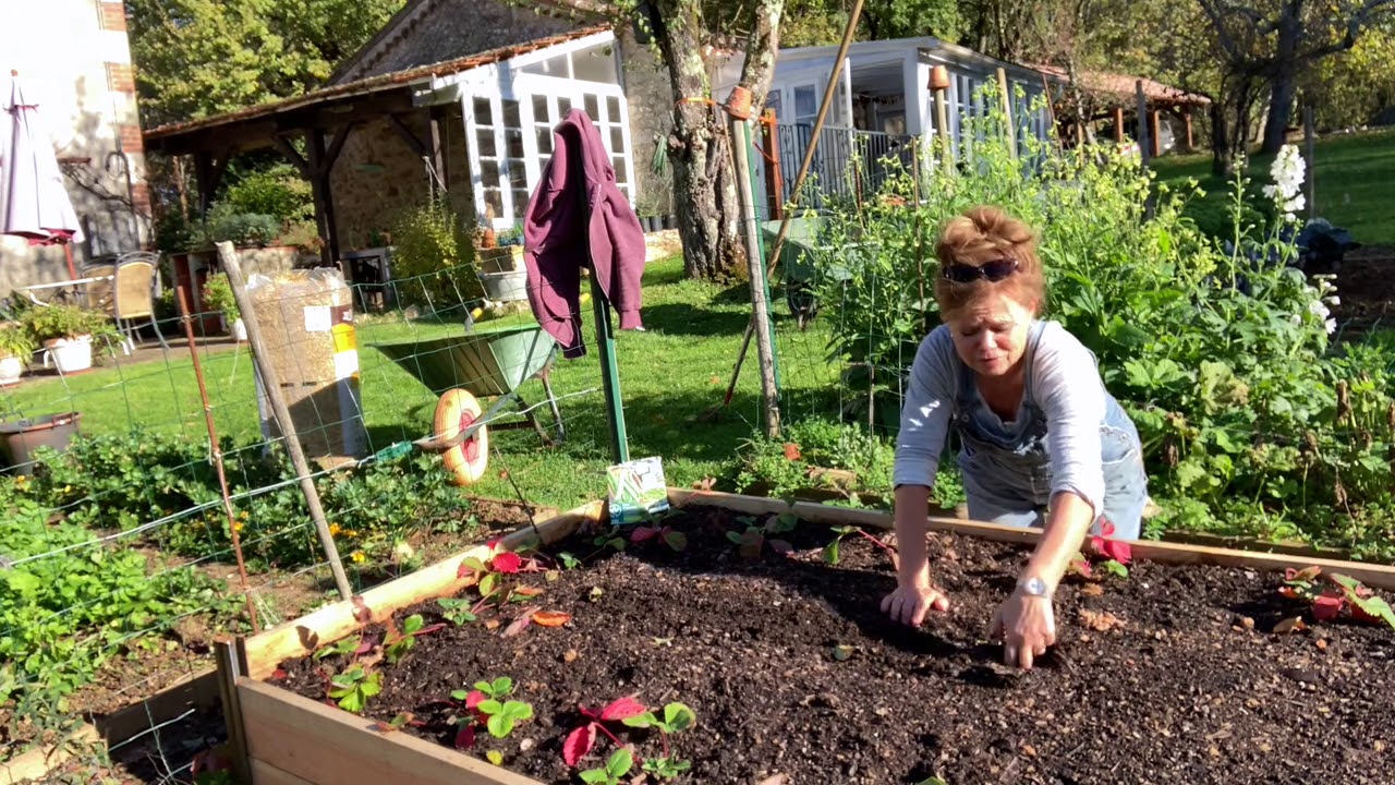 Ini's Moestuin #36 wintergroenten afdekken en bewaren & vroege ...