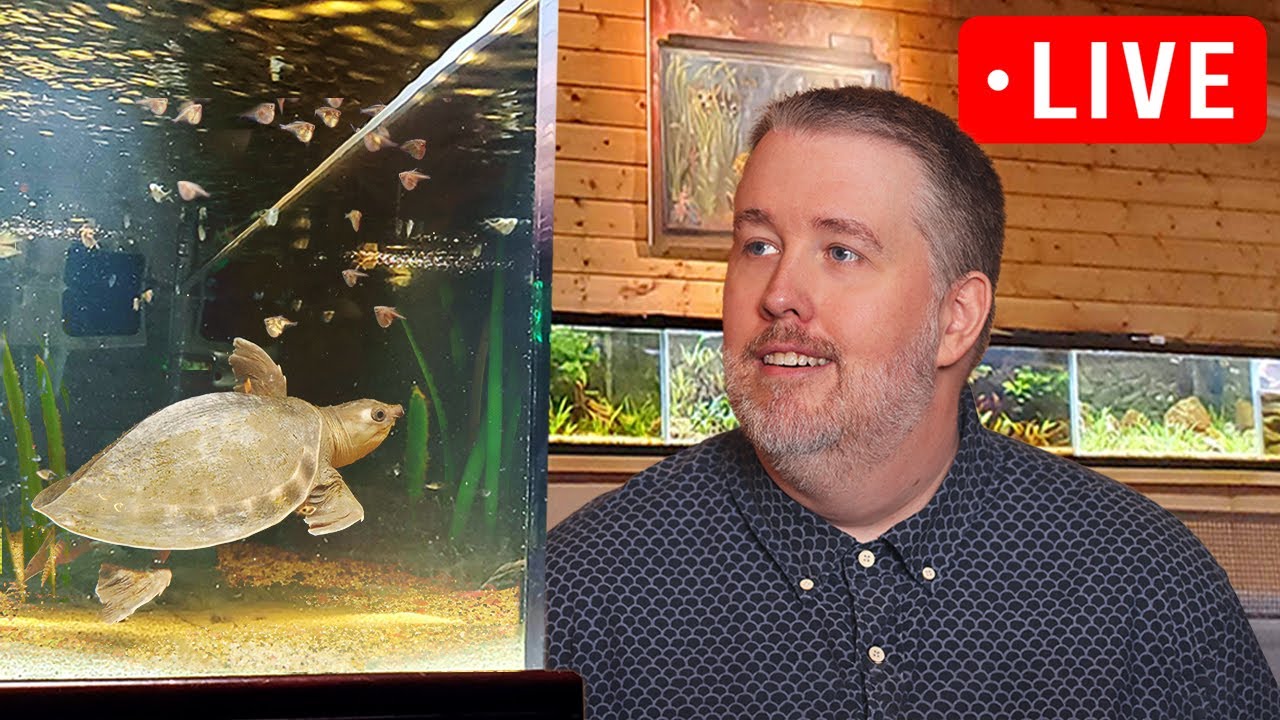 Answering your questions with 15+ years of Fish Store Experience ...