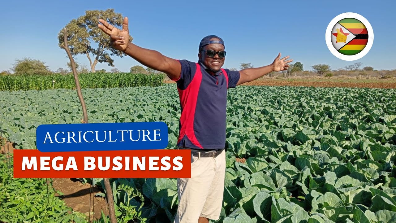 Horticulture Farming In Zimbabwe