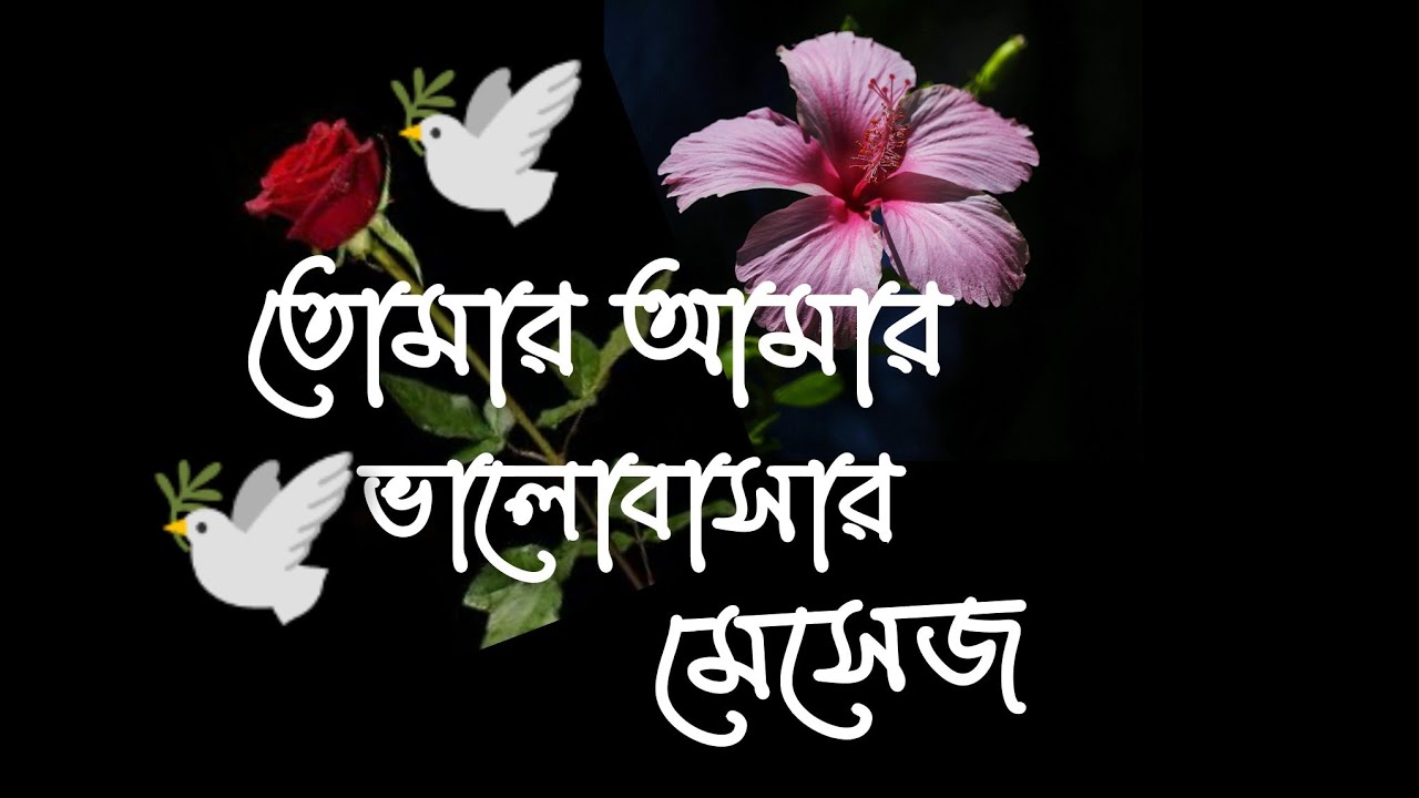 ভালোবাসার মেসেজ||ভালোবাসার দিবসের মেসেজ||14 ফেব্রুয়ারি ভালোবাসা দিবস ...