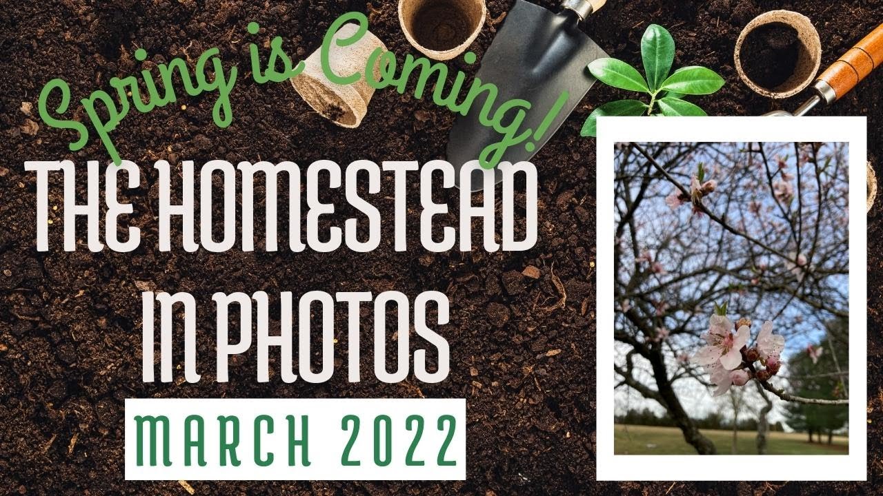 March 2022 The Semi Homestead in Pictures - YouTube