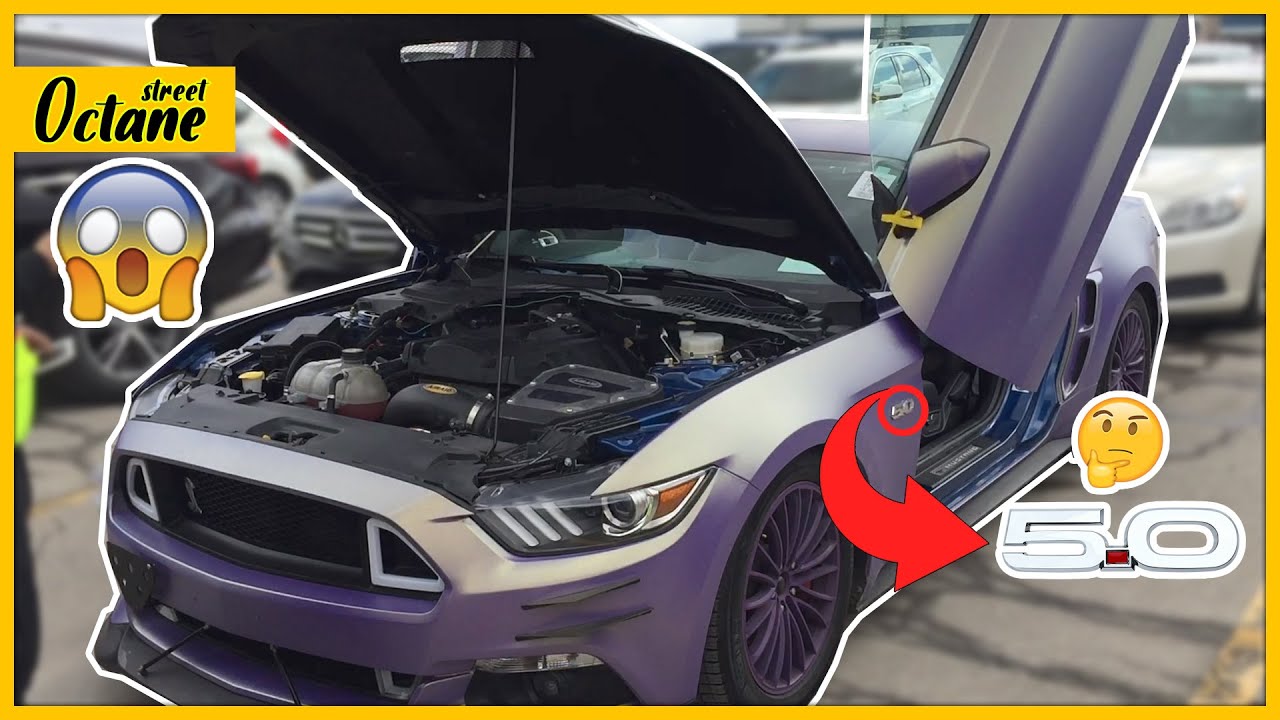 2016 Mustang GT with BUTTERFLY DOORS! *LIVE REACTION* - YouTube
