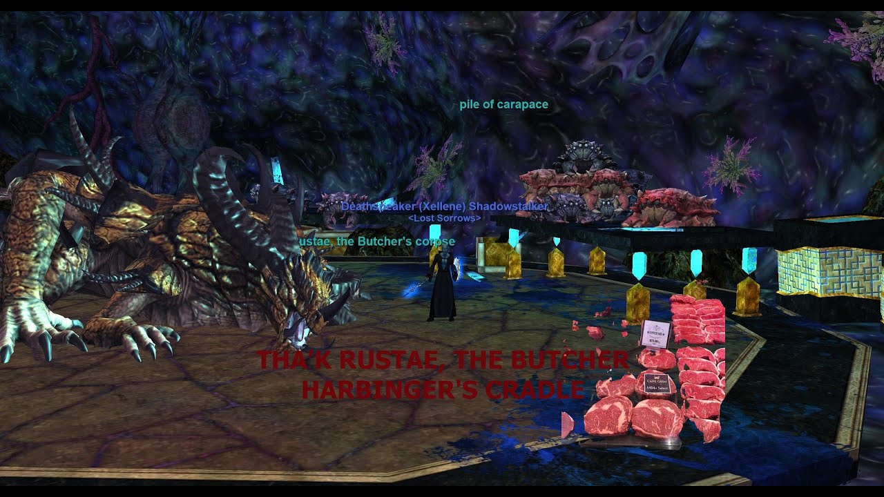 How to EverQuest Necromancer - Tha`k Rustae, the Butcher - The Outer ...