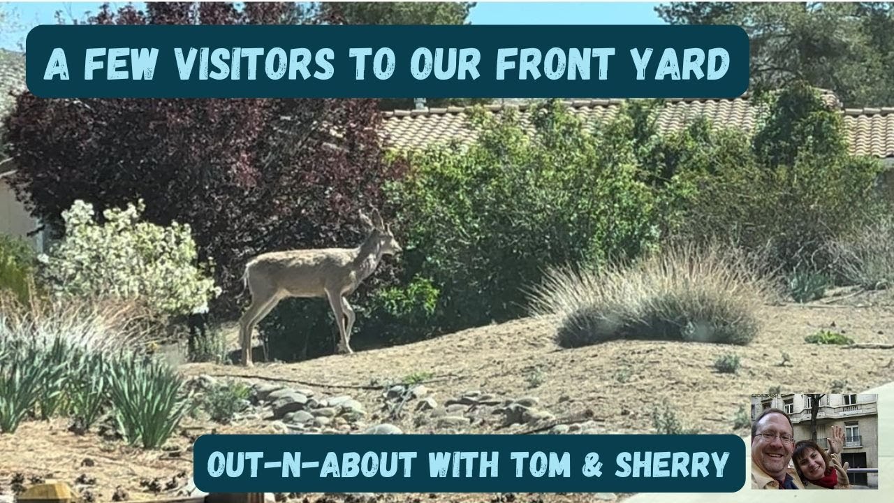 Places to Visit in Northern Nevada: Our Own Front Yard - YouTube
